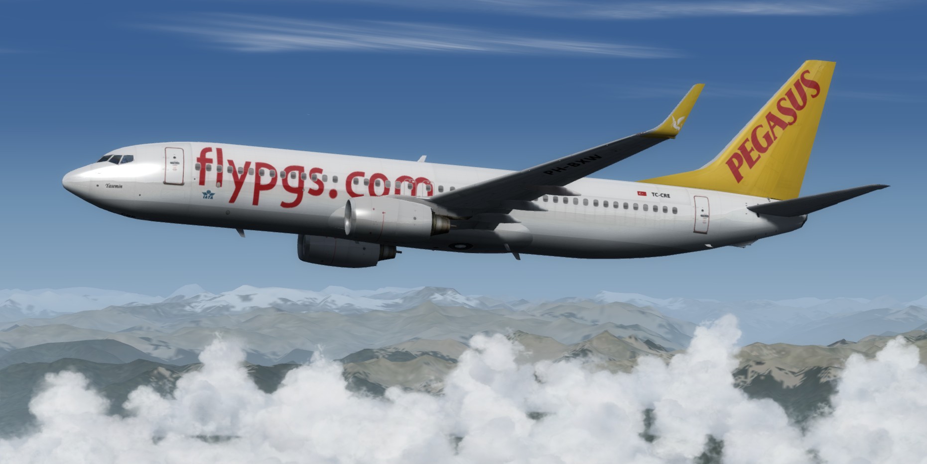 More images for FSX%2FP3D+Boeing+737-800+Pegasus+Airlines+package+v2